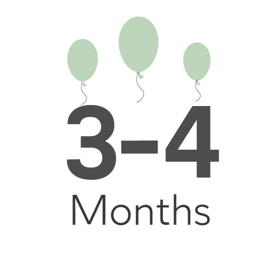 3-4 חודשים – Shilav