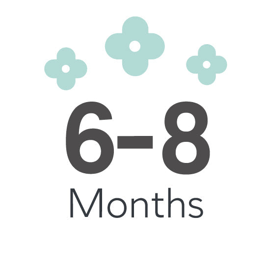 6-8 חודשים – Shilav