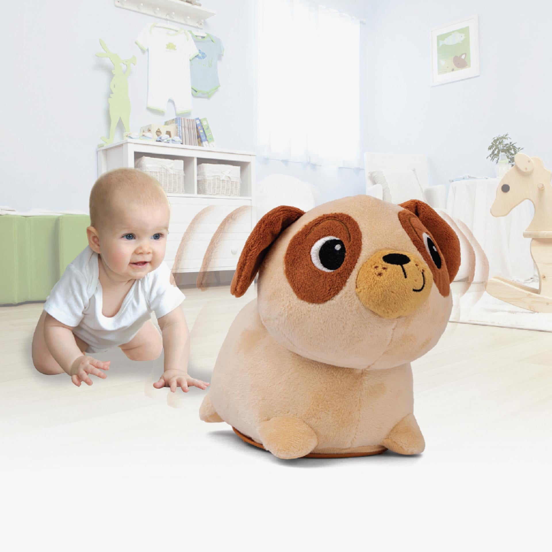 כלב מעודד זחילה – Shilav