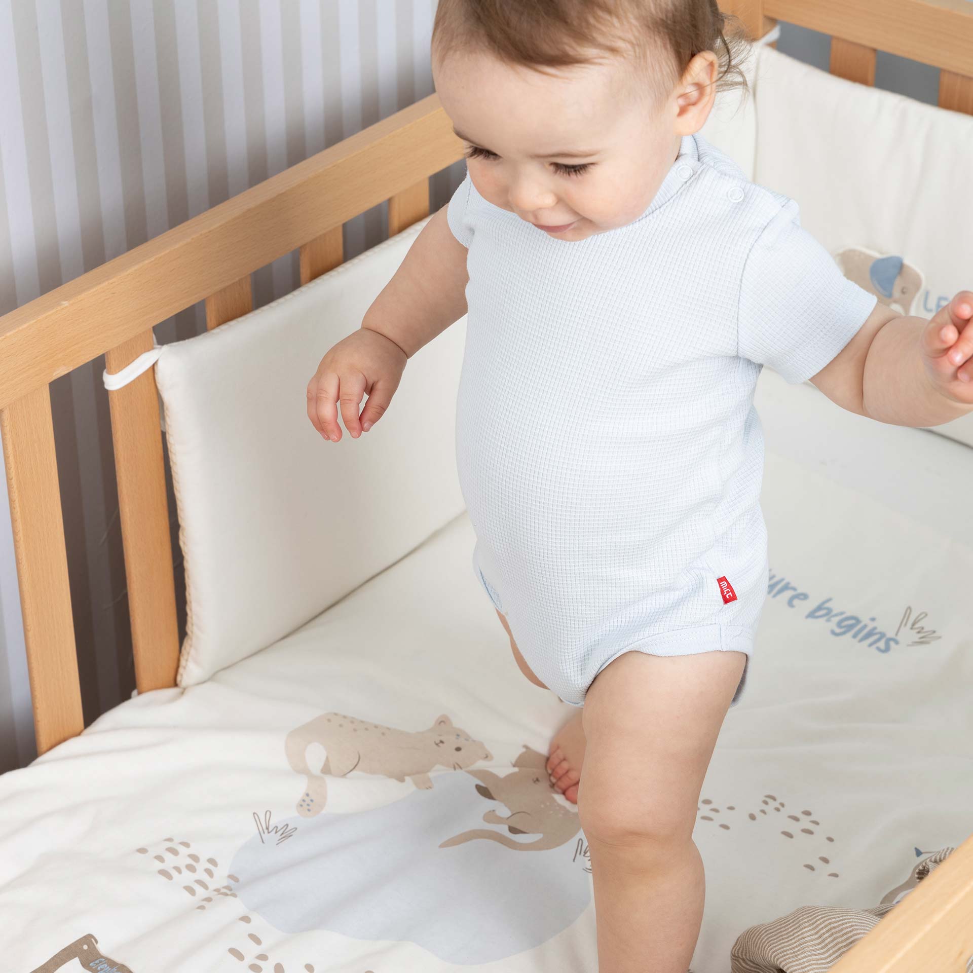 קולקציות – Shilav