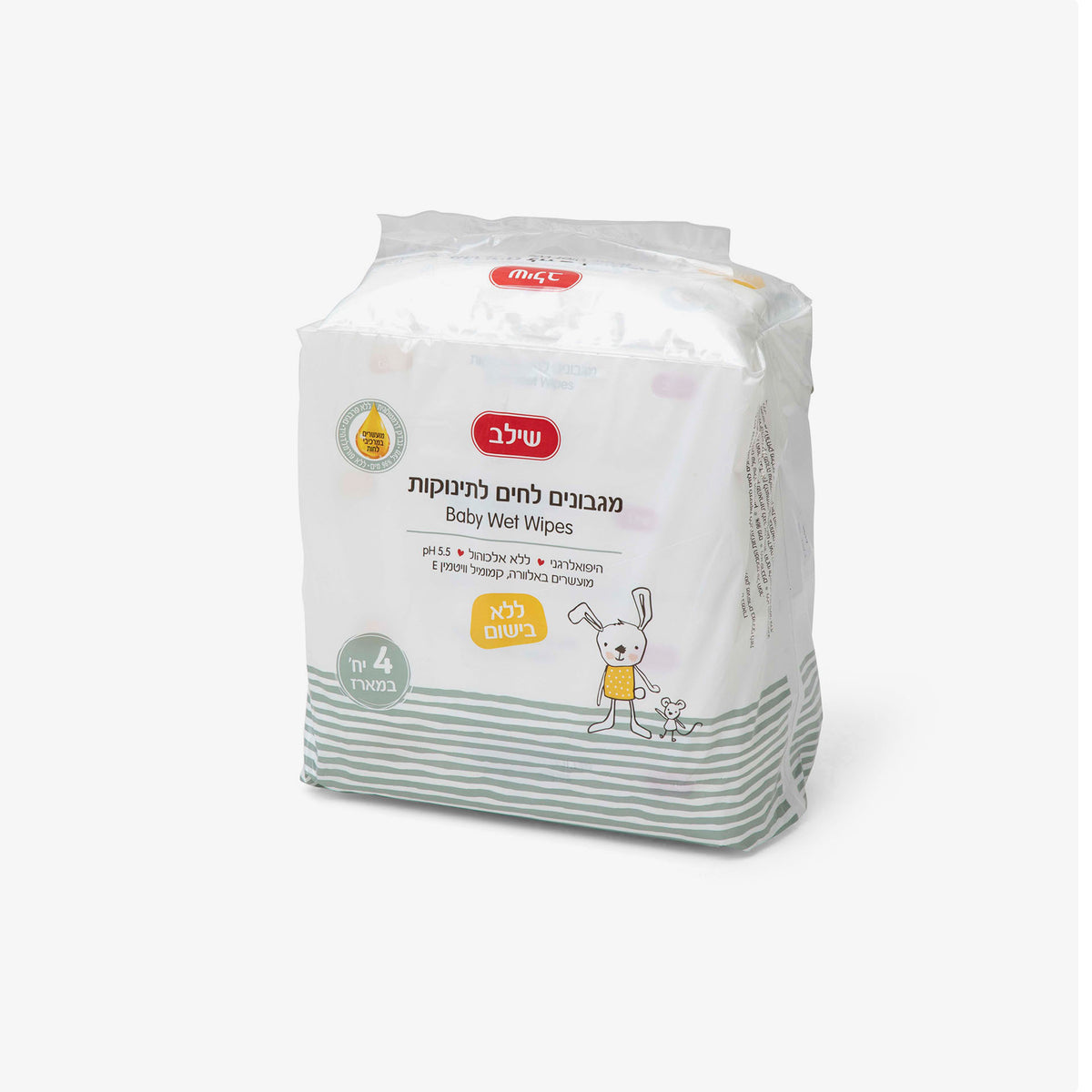 Home page – Shilav