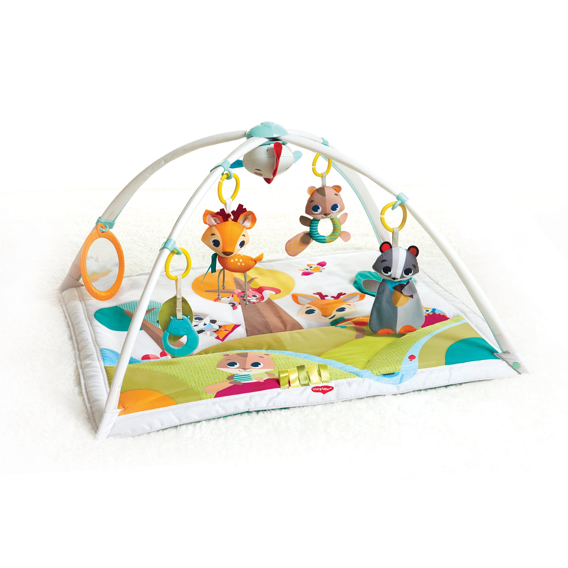 Home page – Shilav